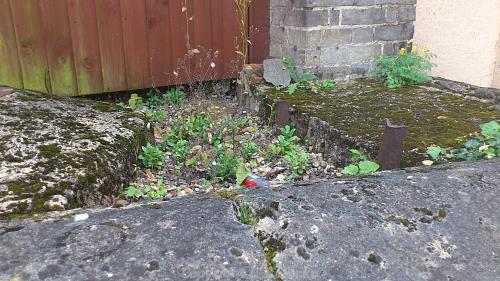 World-War-Two-Spigot-Mortar-emplacement - Norfolk Heritage Explorer